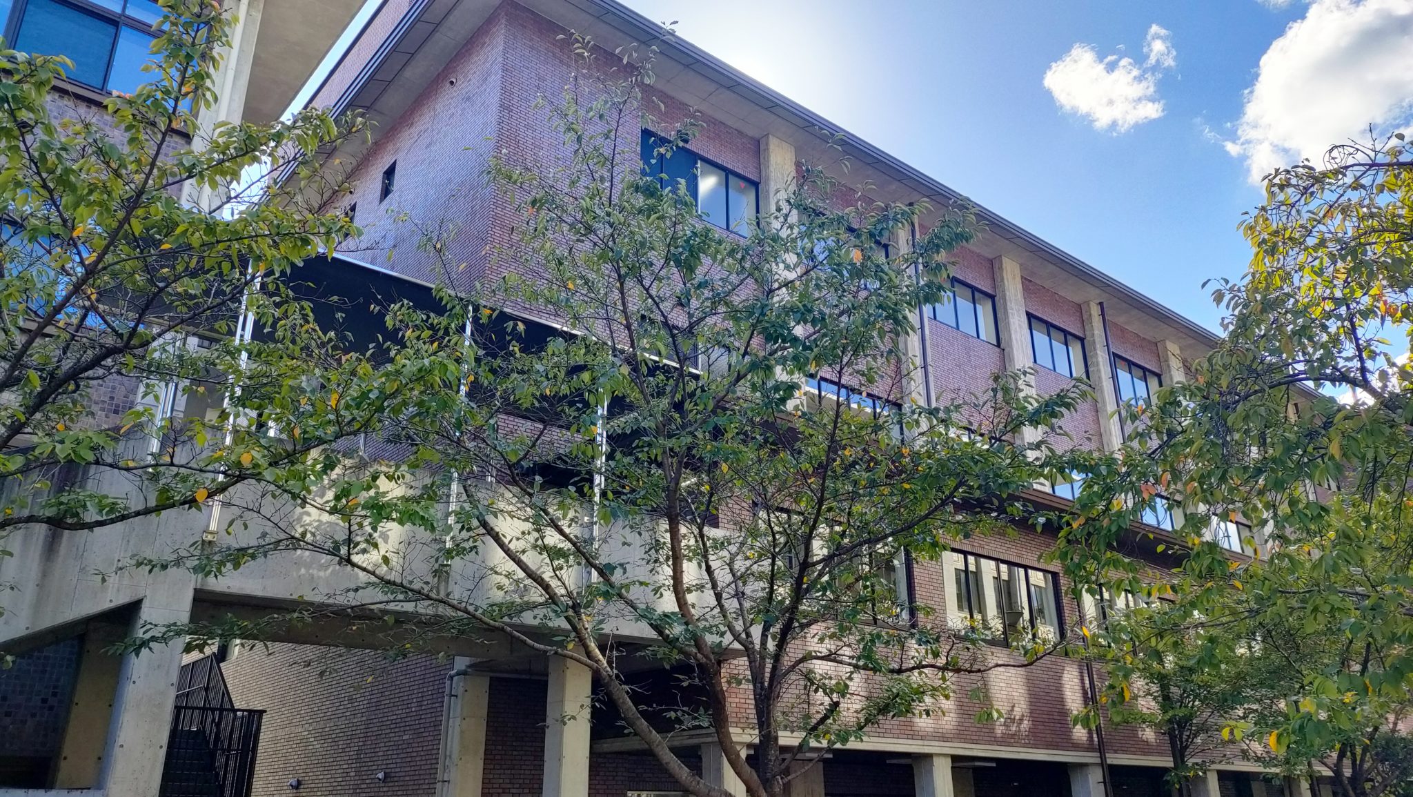 2025 RSJP Express – Short-term Program